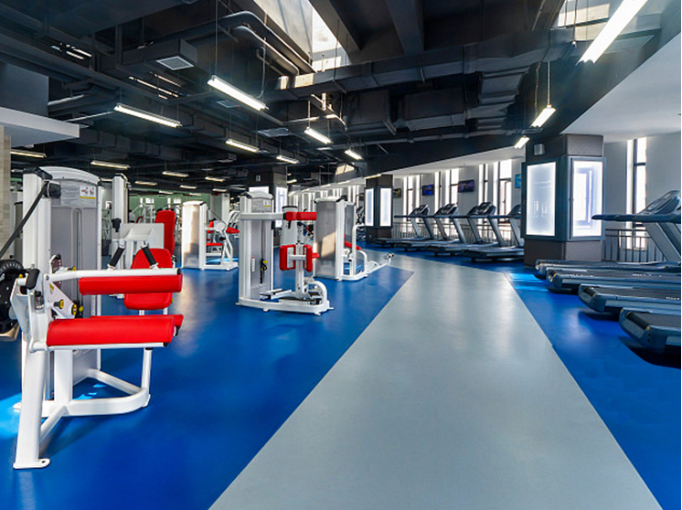 LED Gym Lighting | Shinetoo Gym Lights for Indoor Spaces